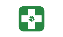 Mystical Biotech – Probiotics